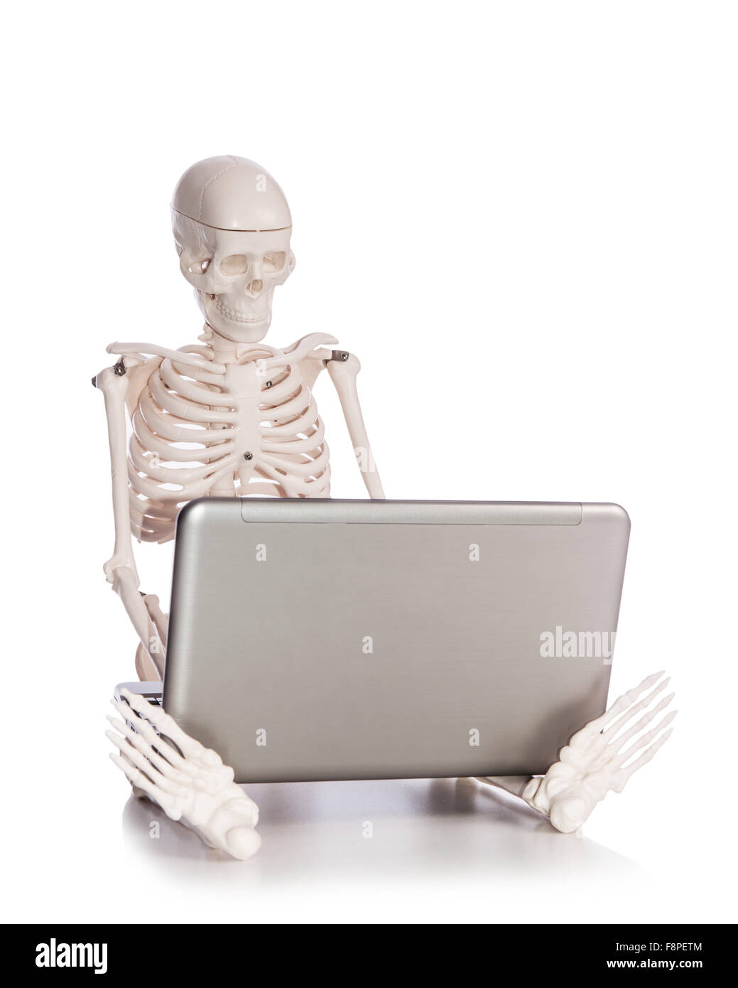 Skeleton working on laptop Stock Photo - Alamy