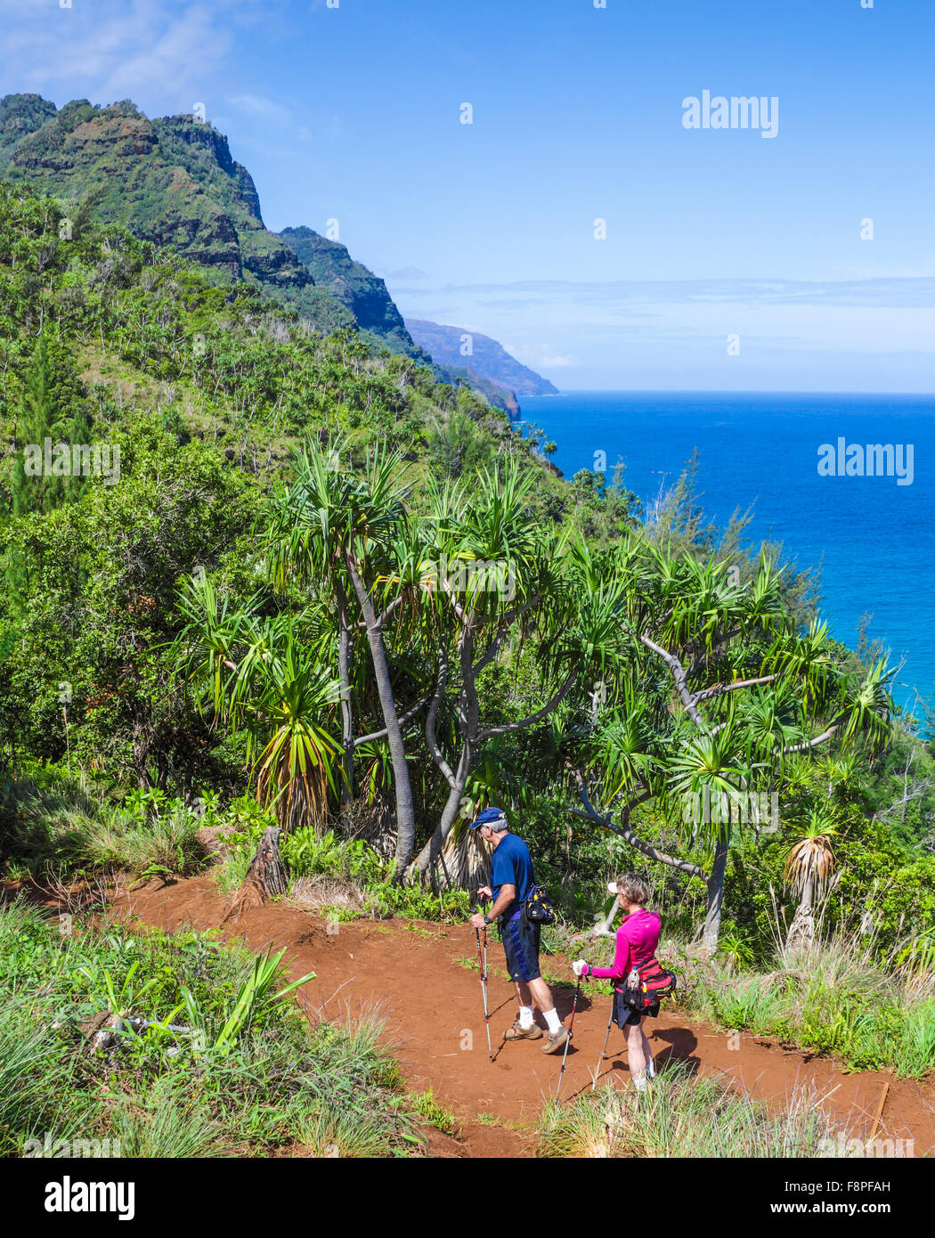 Man hikes on trail tropical hi-res stock photography and images - Alamy