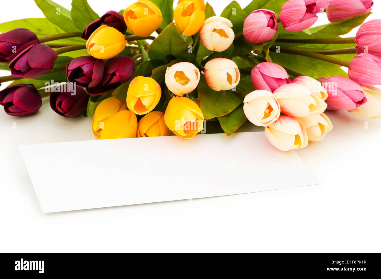 Tulips and blank message isolated on white Stock Photo - Alamy