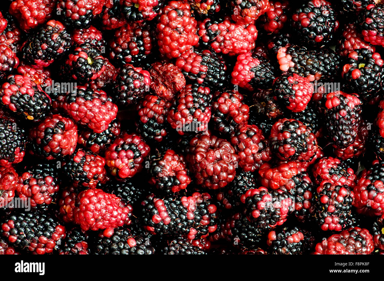 Lots of berries arranged at the background Stock Photo - Alamy