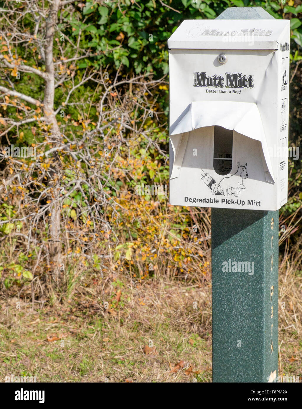 Mutt Mitt dispenser on wooden post alongside walkway in public park ...