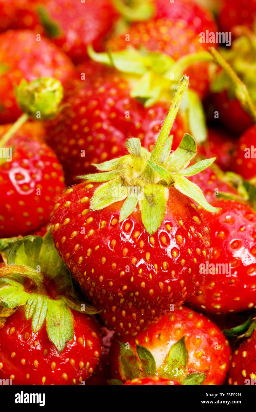 Lots of strawberries arranged as the background Stock Photo - Alamy