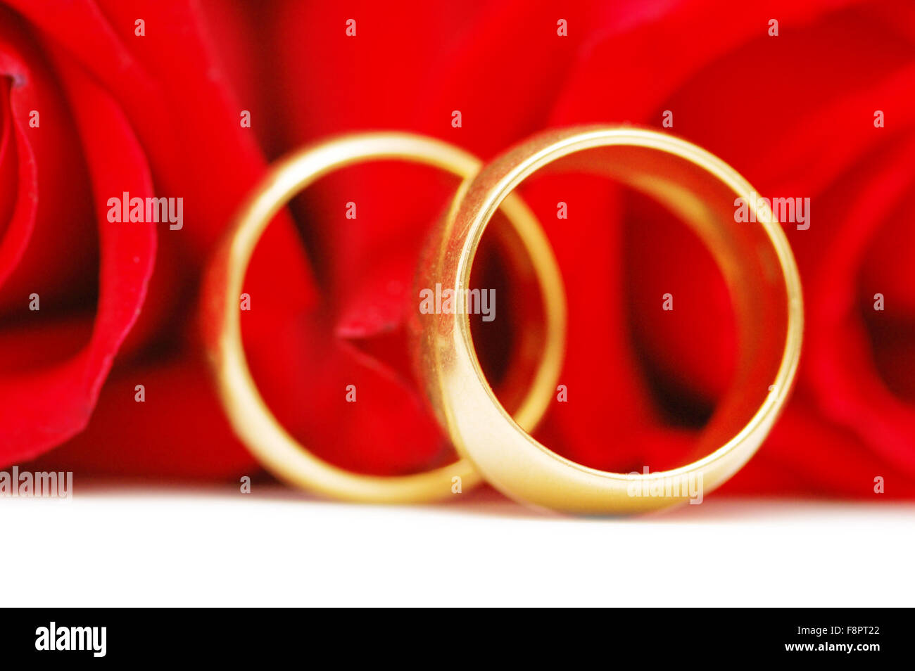 Two gold wedding rings and red roses Stock Photo - Alamy