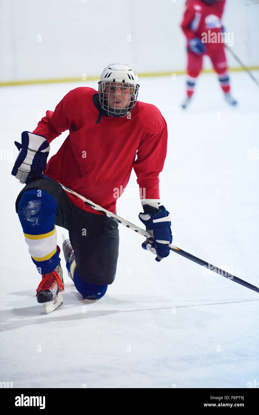 ice hockey player in action kicking with stick Stock Photo - Alamy
