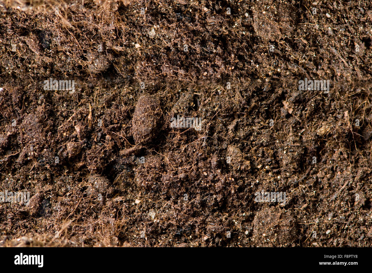 Close up of soil - can be used as background Stock Photo - Alamy