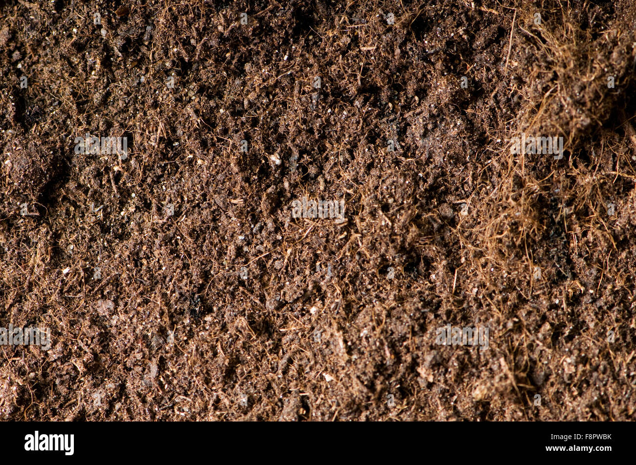 Close up of soil - can be used as background Stock Photo - Alamy