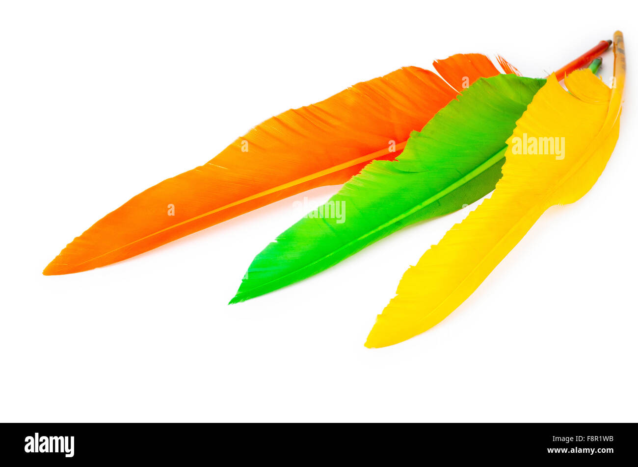 Writing feather isolated on the white background Stock Photo - Alamy