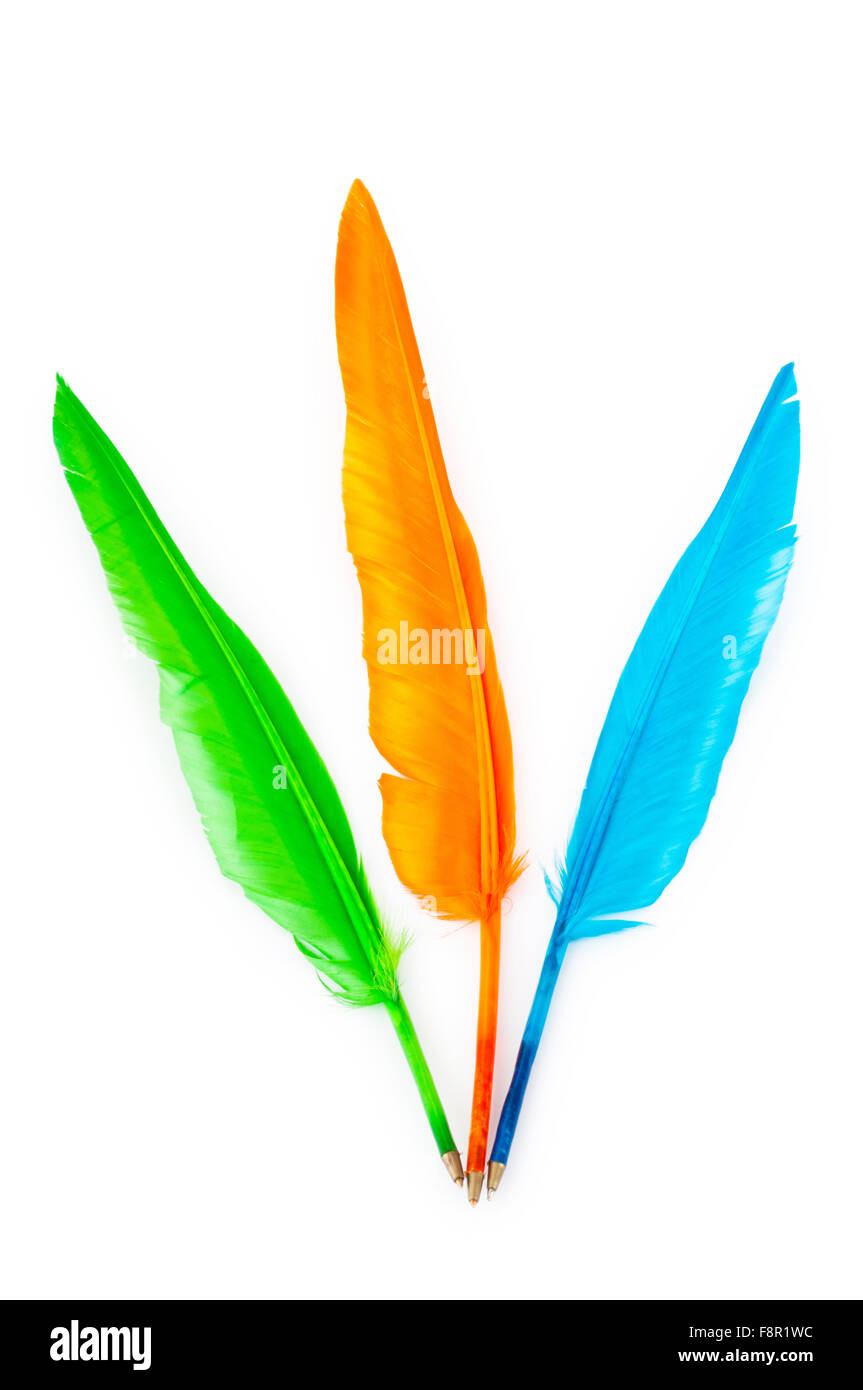 Writing feather isolated on the white background Stock Photo - Alamy