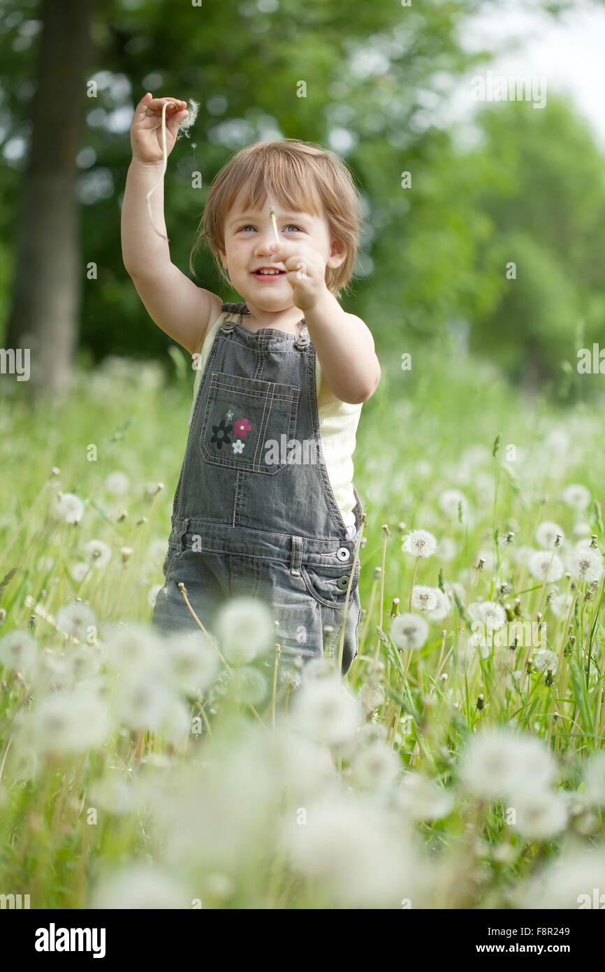 Two-year baby girl in summer dandelion plant Stock Photo - Alamy