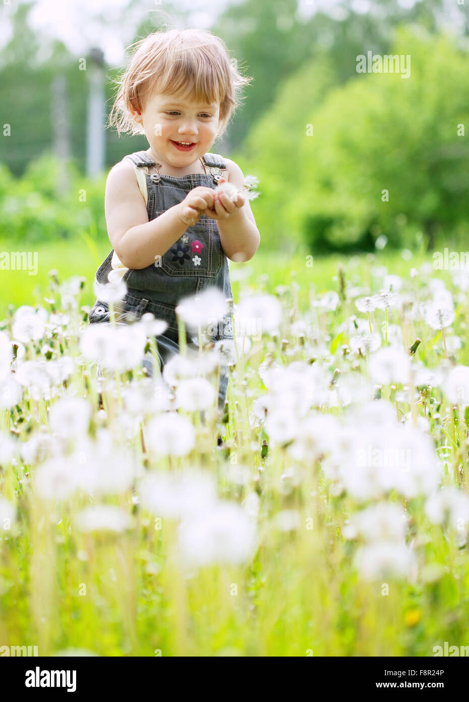 Two-year baby girl in summer dandelion plant Stock Photo - Alamy