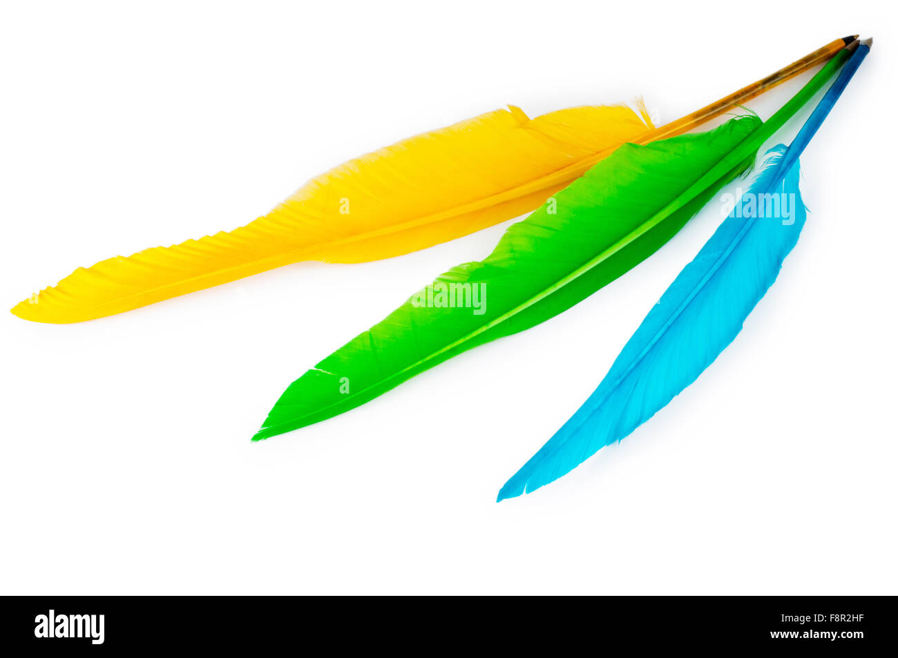 Writing feather isolated on the white background Stock Photo - Alamy