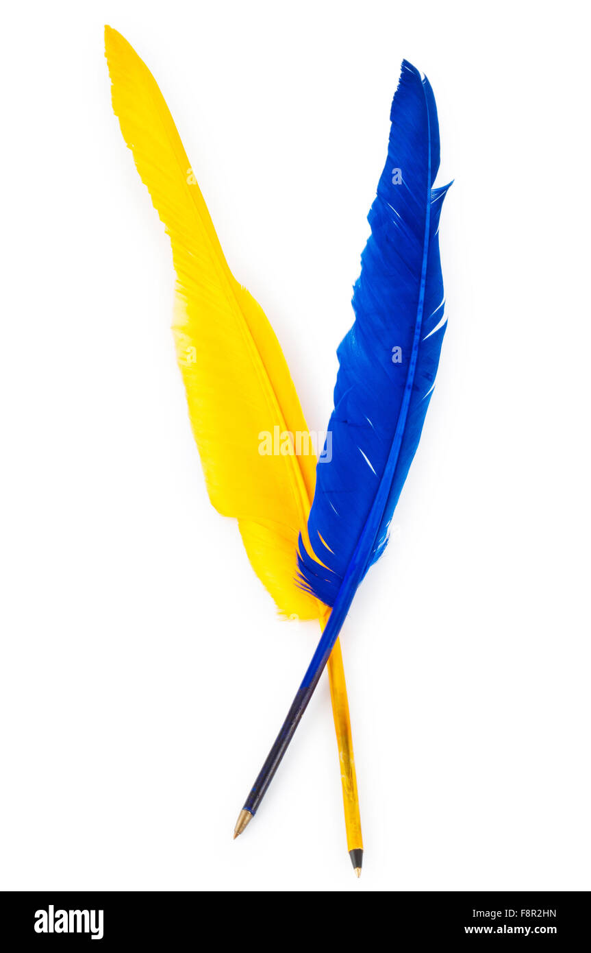 Writing feather isolated on the white background Stock Photo - Alamy