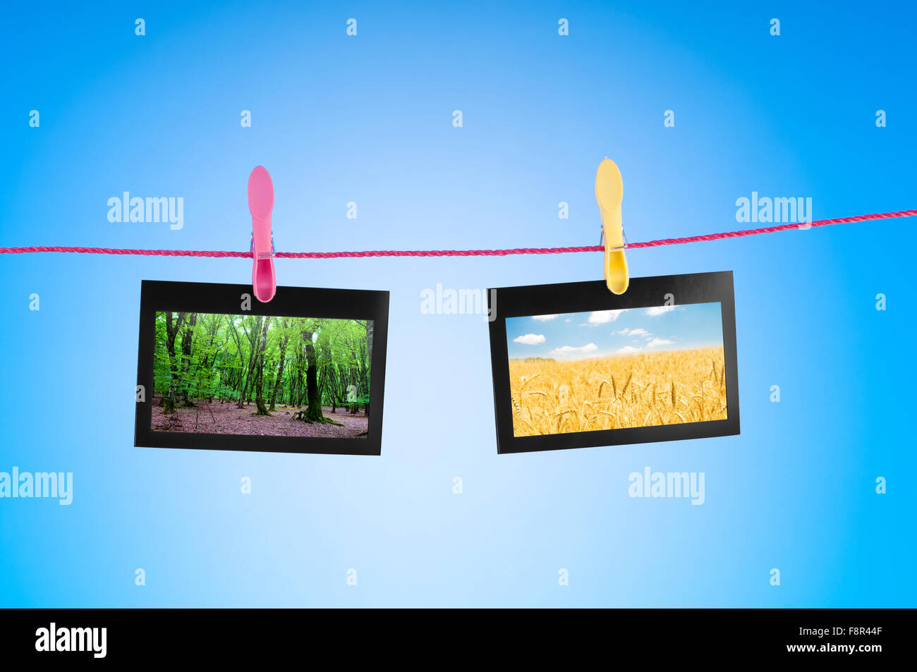 Picture frames with nature photos Stock Photo - Alamy