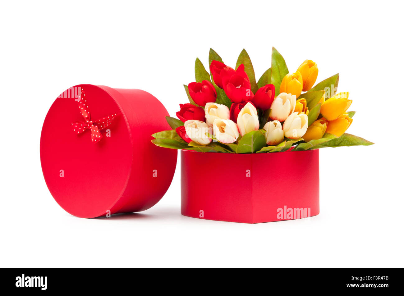 Red gift box tulips Cut Out Stock Images & Pictures - Alamy