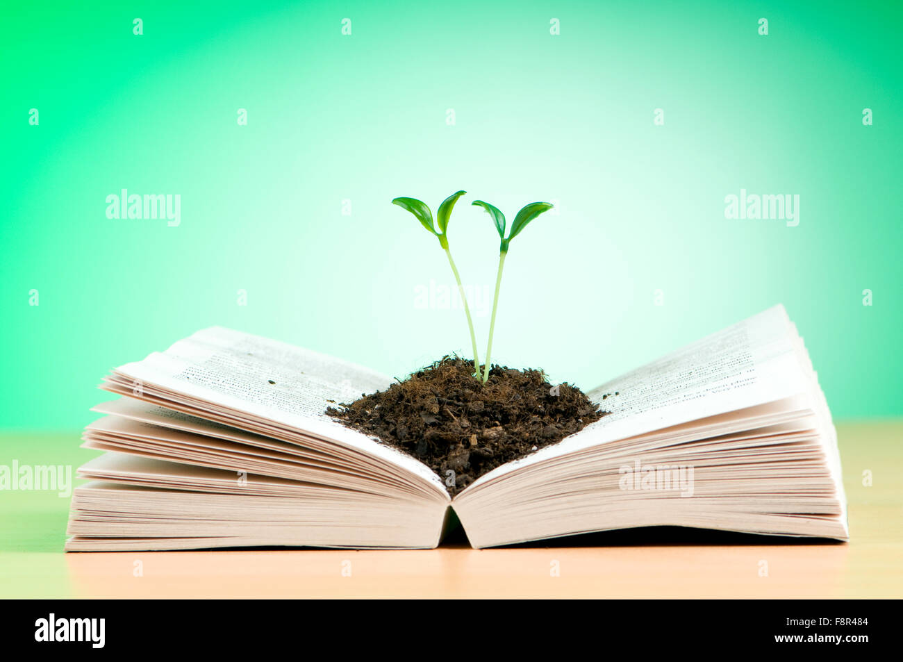 Tree growing from an open book hi-res stock photography and images - Alamy