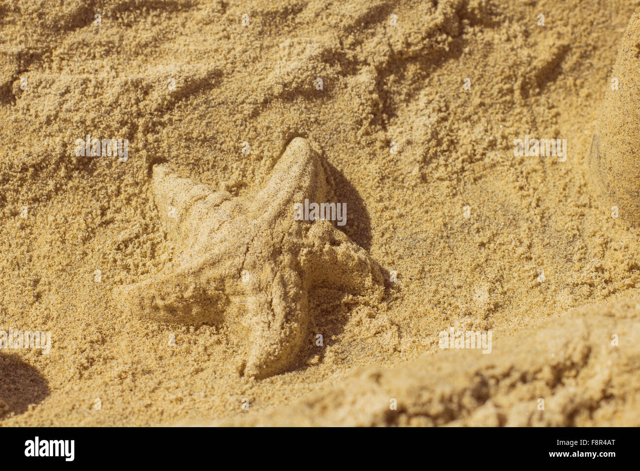 Sand star on the beach, summer texture background Stock Photo - Alamy