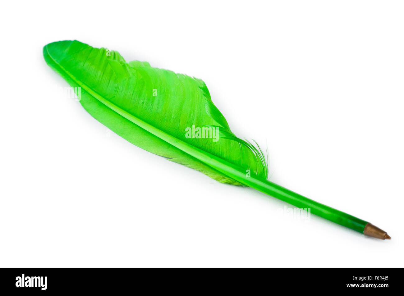 Writing feather isolated on the white background Stock Photo - Alamy