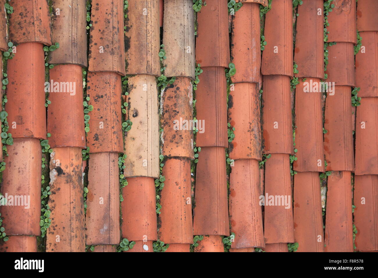 rooftiles pattern Venice Italy Stock Photo - Alamy