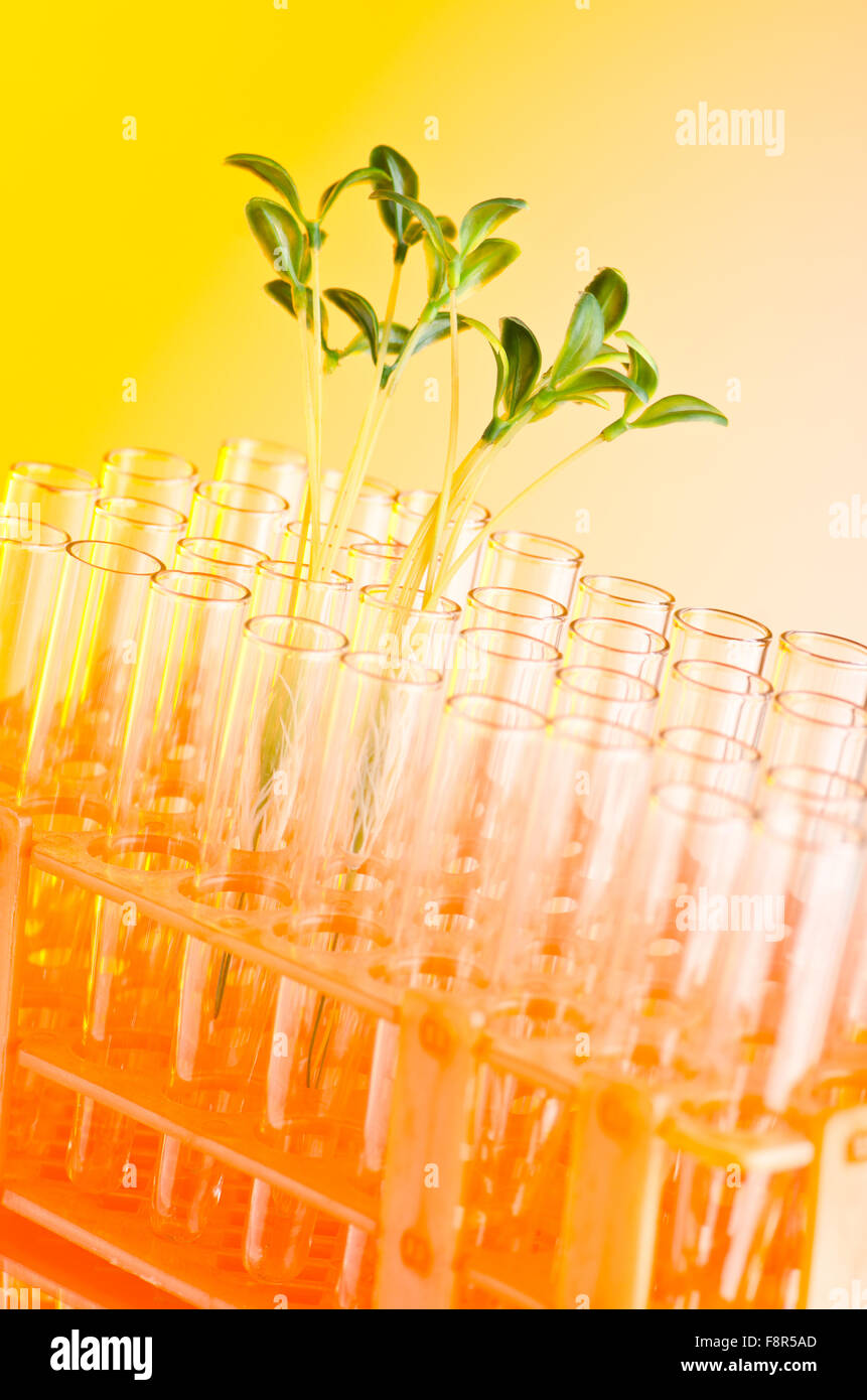 Tree seedling growing in test hi-res stock photography and images - Alamy