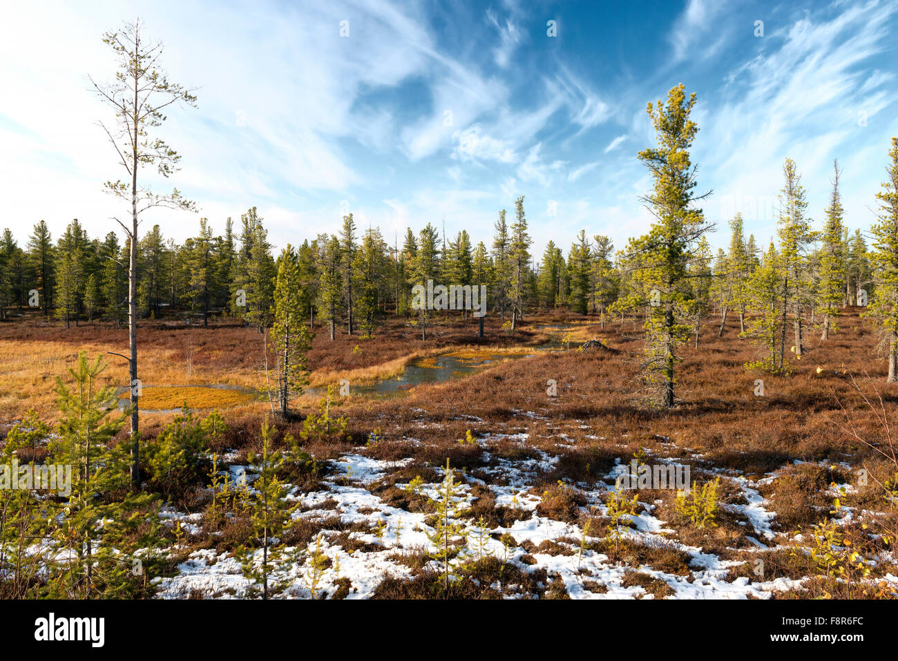 Siberia landscape hi-res stock photography and images - Alamy