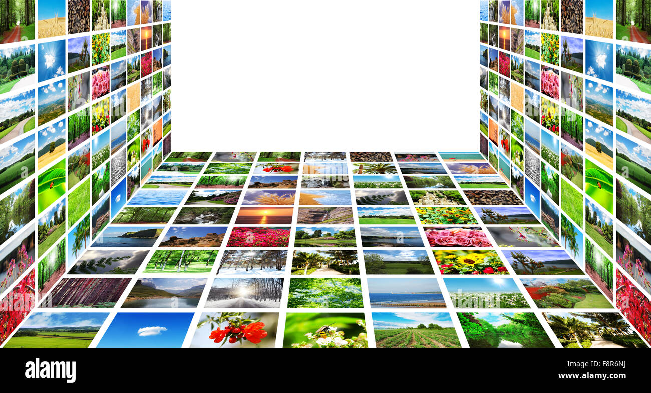 Collage of many nature photos Stock Photo - Alamy
