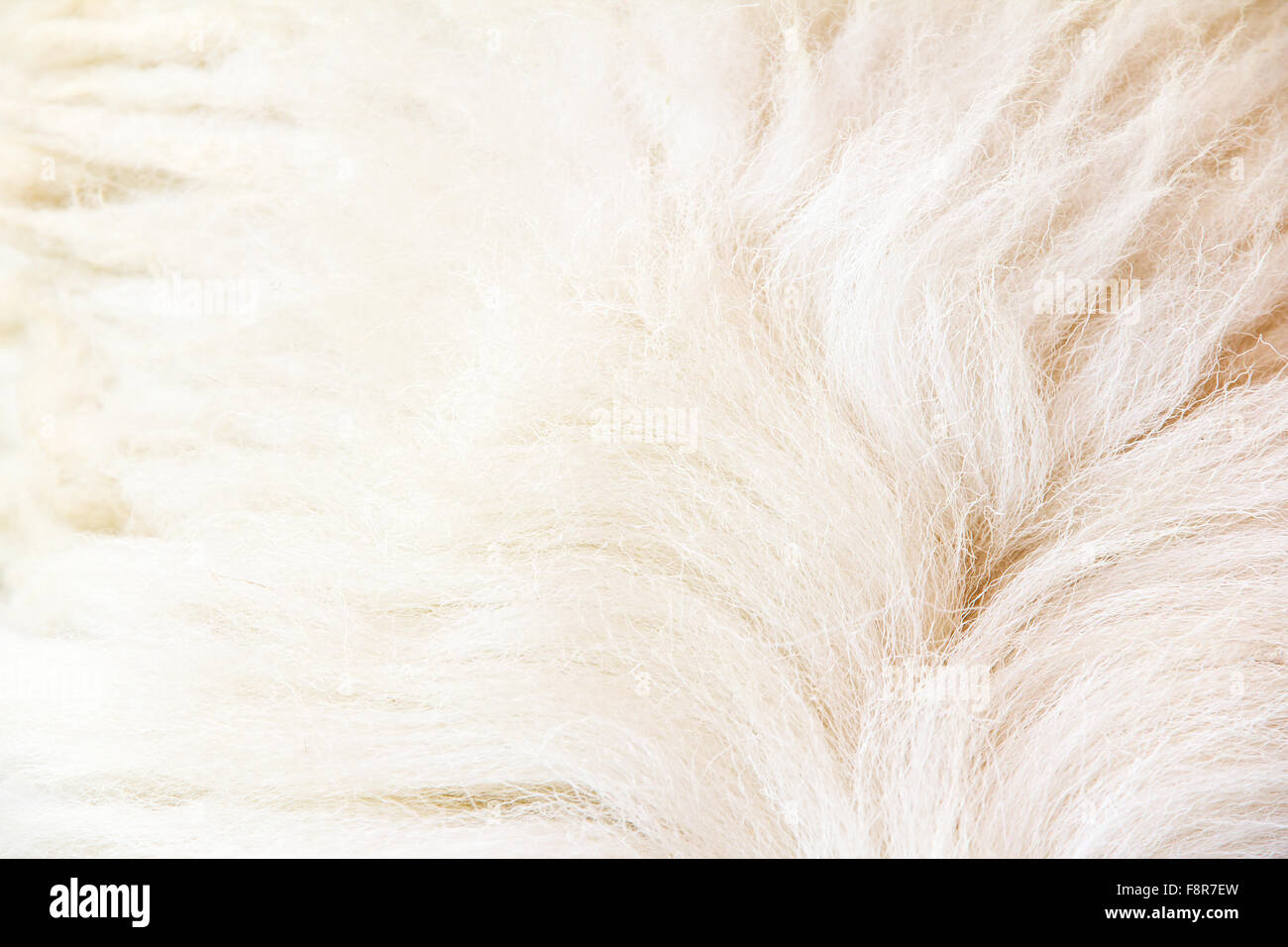 sheep wool background Stock Photo - Alamy