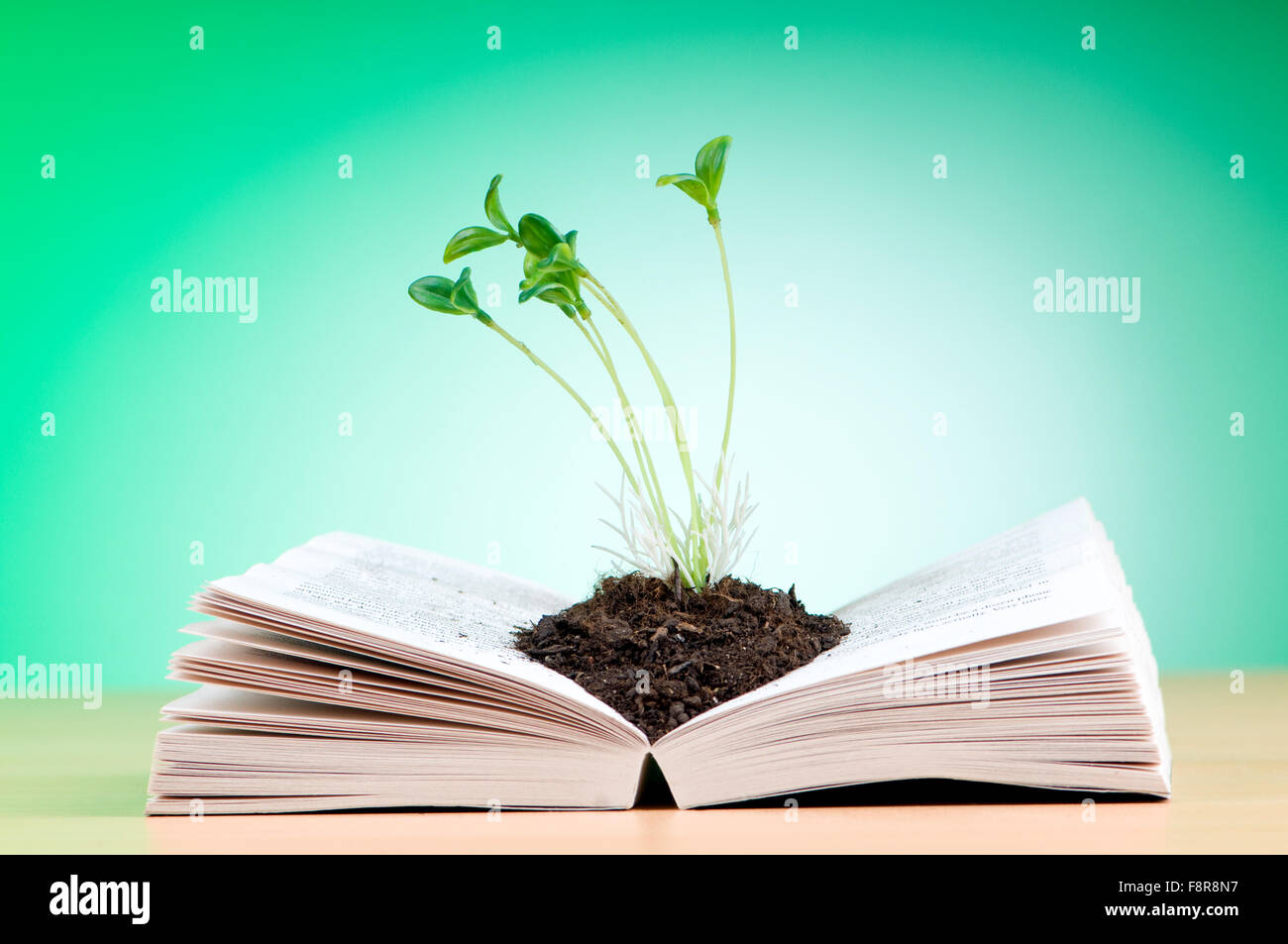 Seedlings growing from book in knowledge concept Stock Photo - Alamy