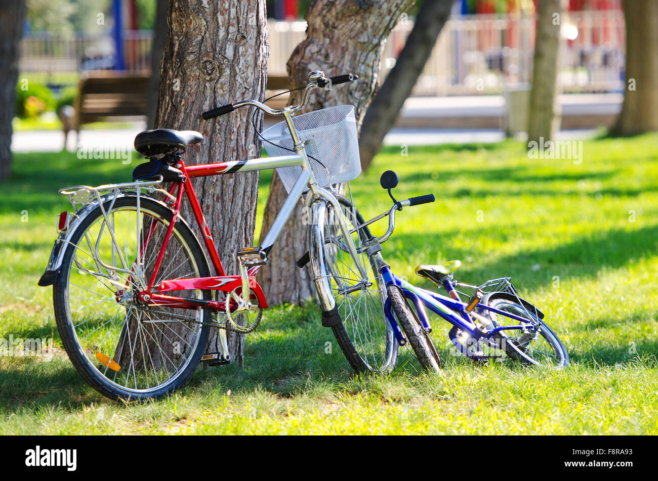 Bike bicycle in the park Stock Photo - Alamy