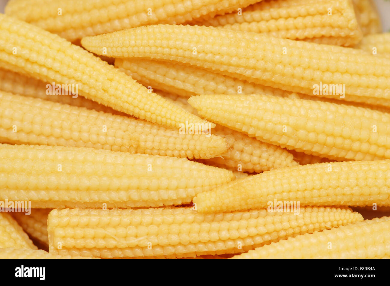 Baby corn cobs arranged as a background Stock Photo - Alamy