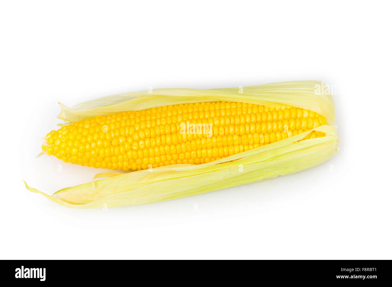 Corn cobs isolated on the white background Stock Photo - Alamy