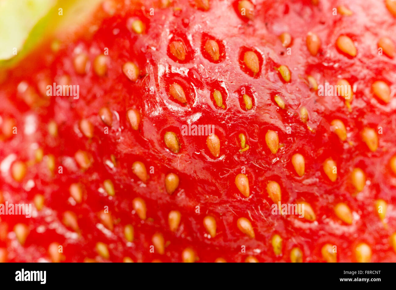 Textured red strawberry background - extreme close up Stock Photo - Alamy