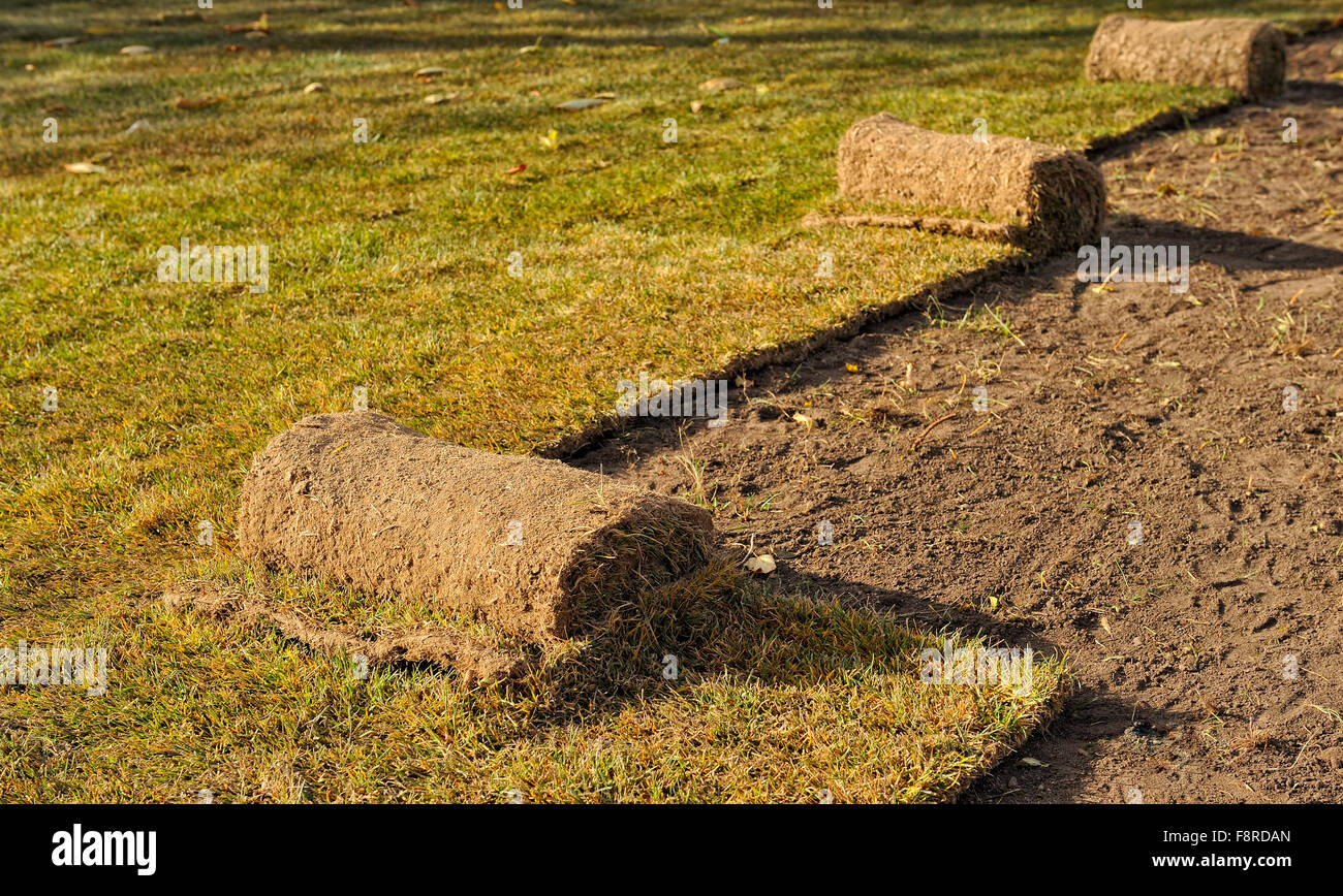 Rolled grass hi-res stock photography and images - Alamy