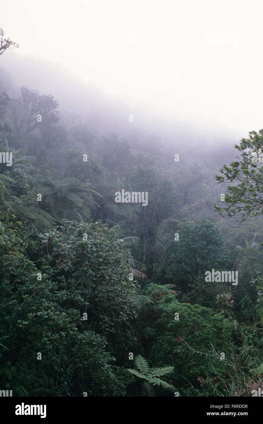 Taveuni aerial hi-res stock photography and images - Alamy
