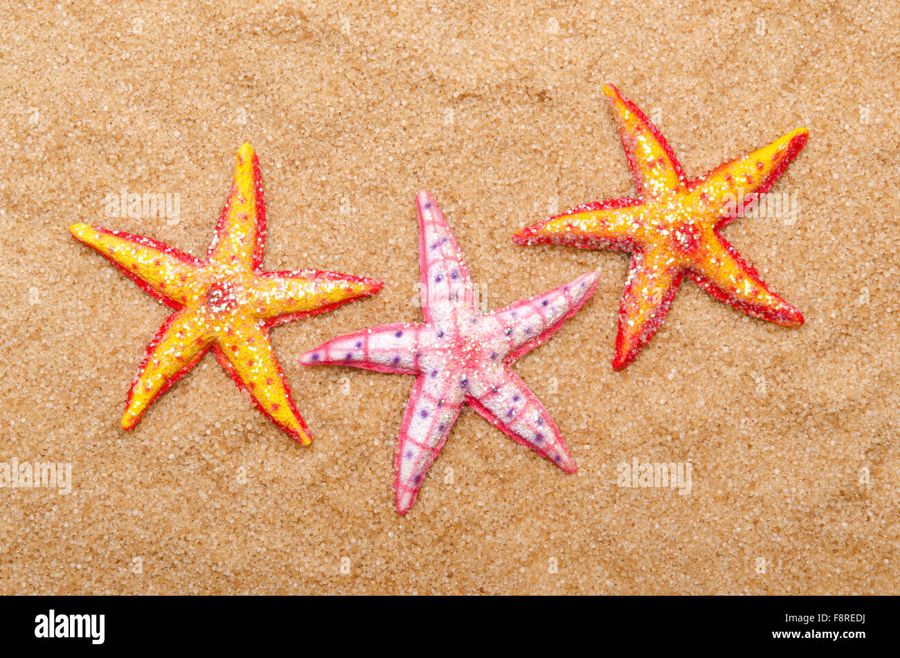 Sea stars on the sand Stock Photo - Alamy