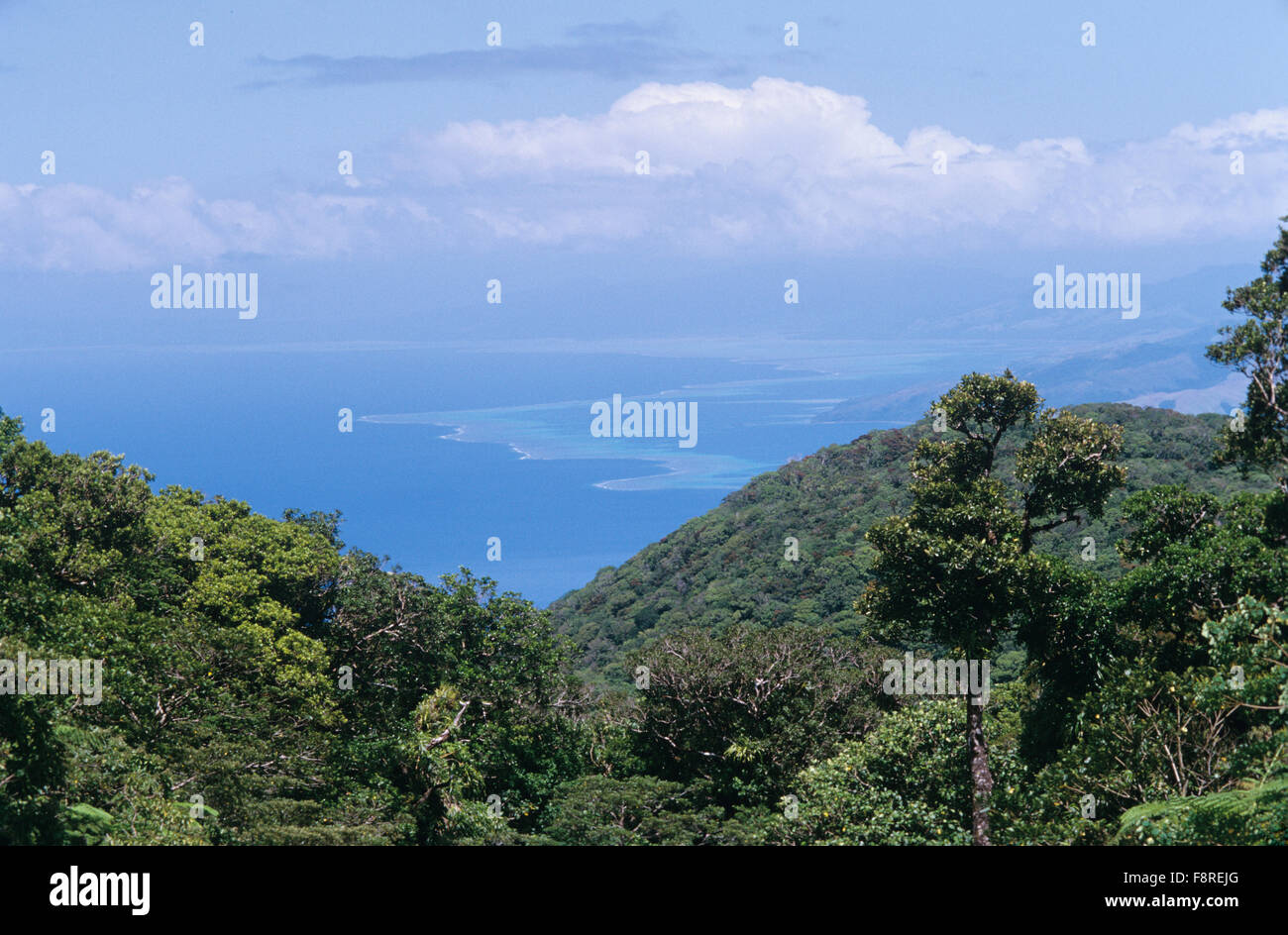 Tagimoucia hi-res stock photography and images - Alamy