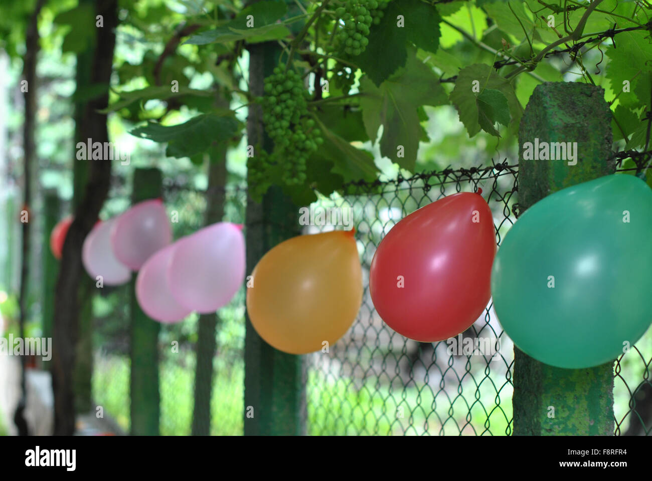 Birthday balloons hanging on chain link fence Stock Photo - Alamy