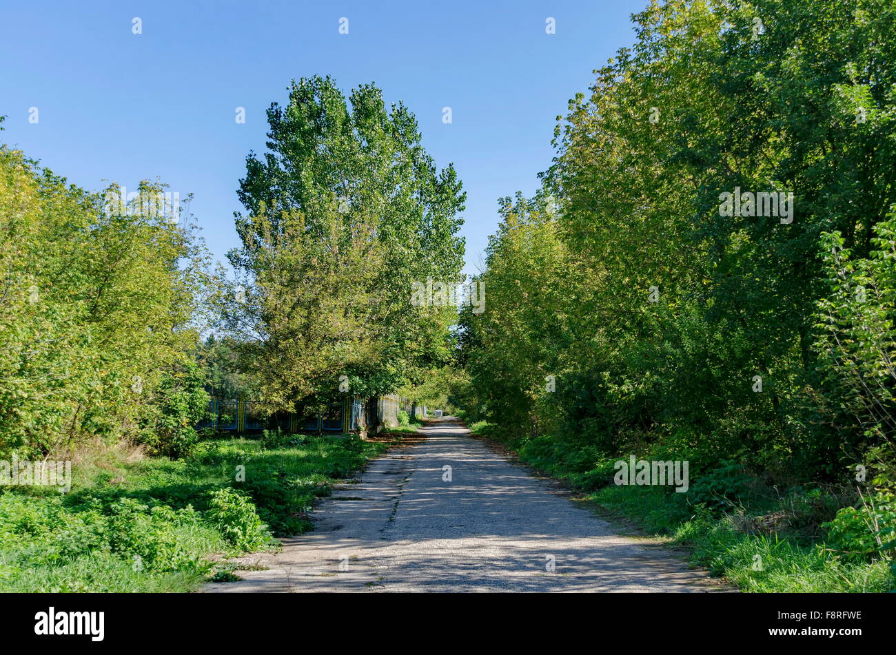 Landscape of park by Beli Lom river at Razgrad town, Bulgaria Stock ...