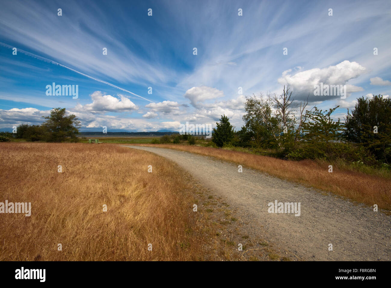 Canada beach path hi-res stock photography and images - Alamy