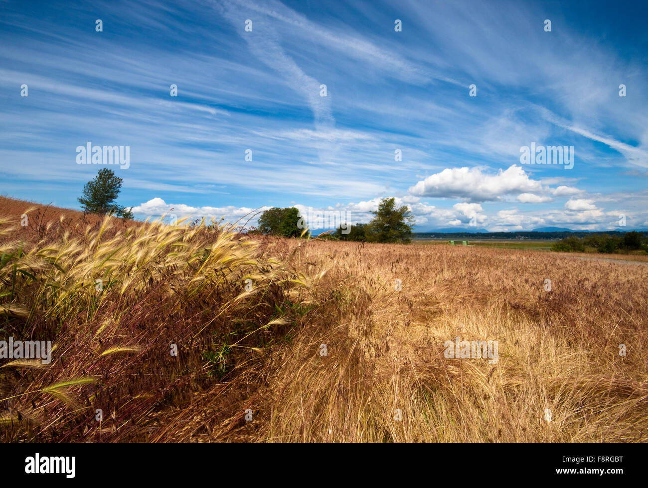 Field crescent hi-res stock photography and images - Alamy