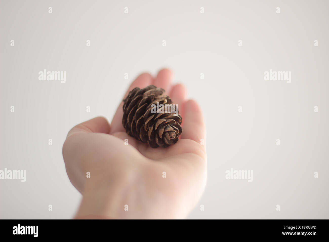 Hand holding cone hi-res stock photography and images - Alamy