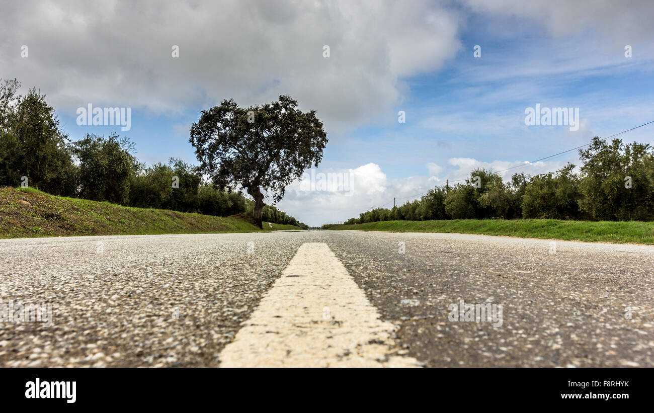 Straight empty rural road hi-res stock photography and images - Alamy