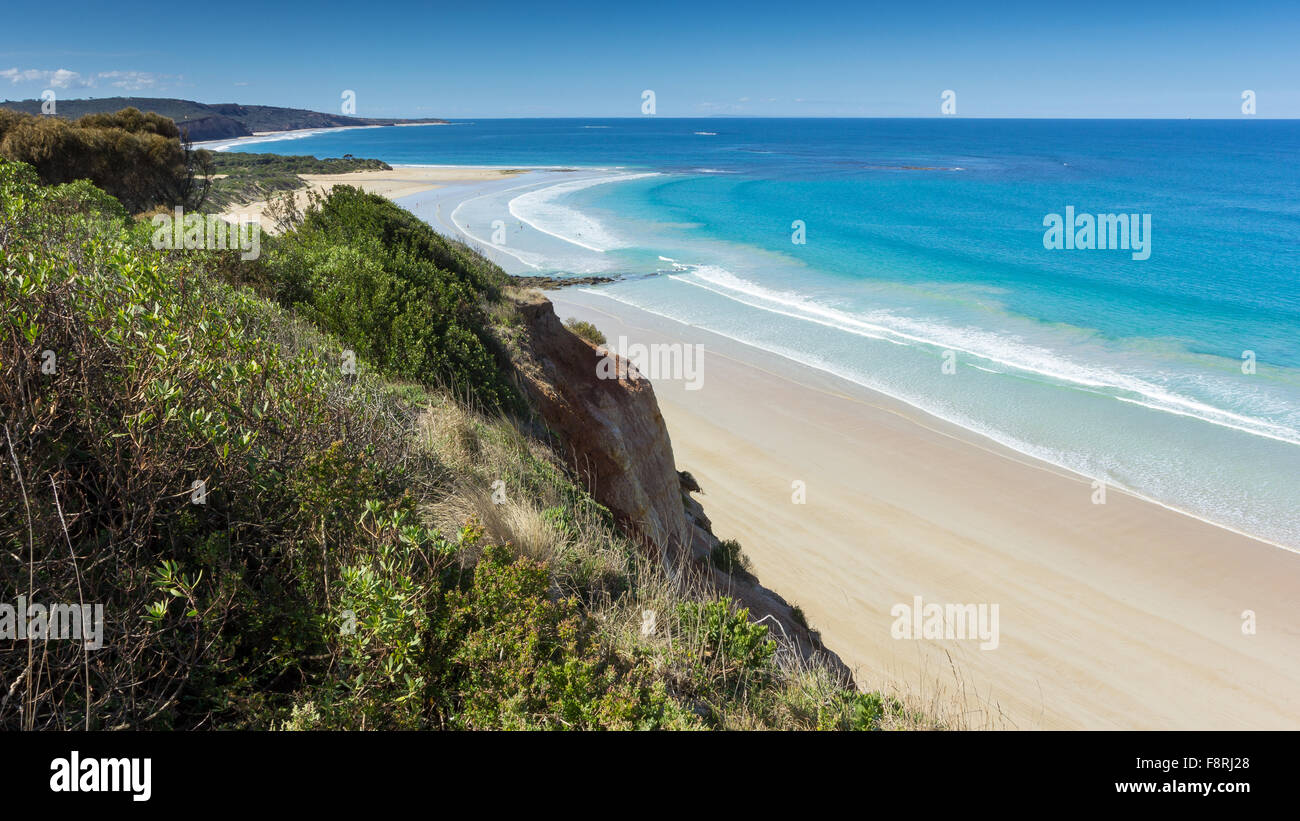 Anglesea beach, Victoria, Australia Stock Photo - Alamy