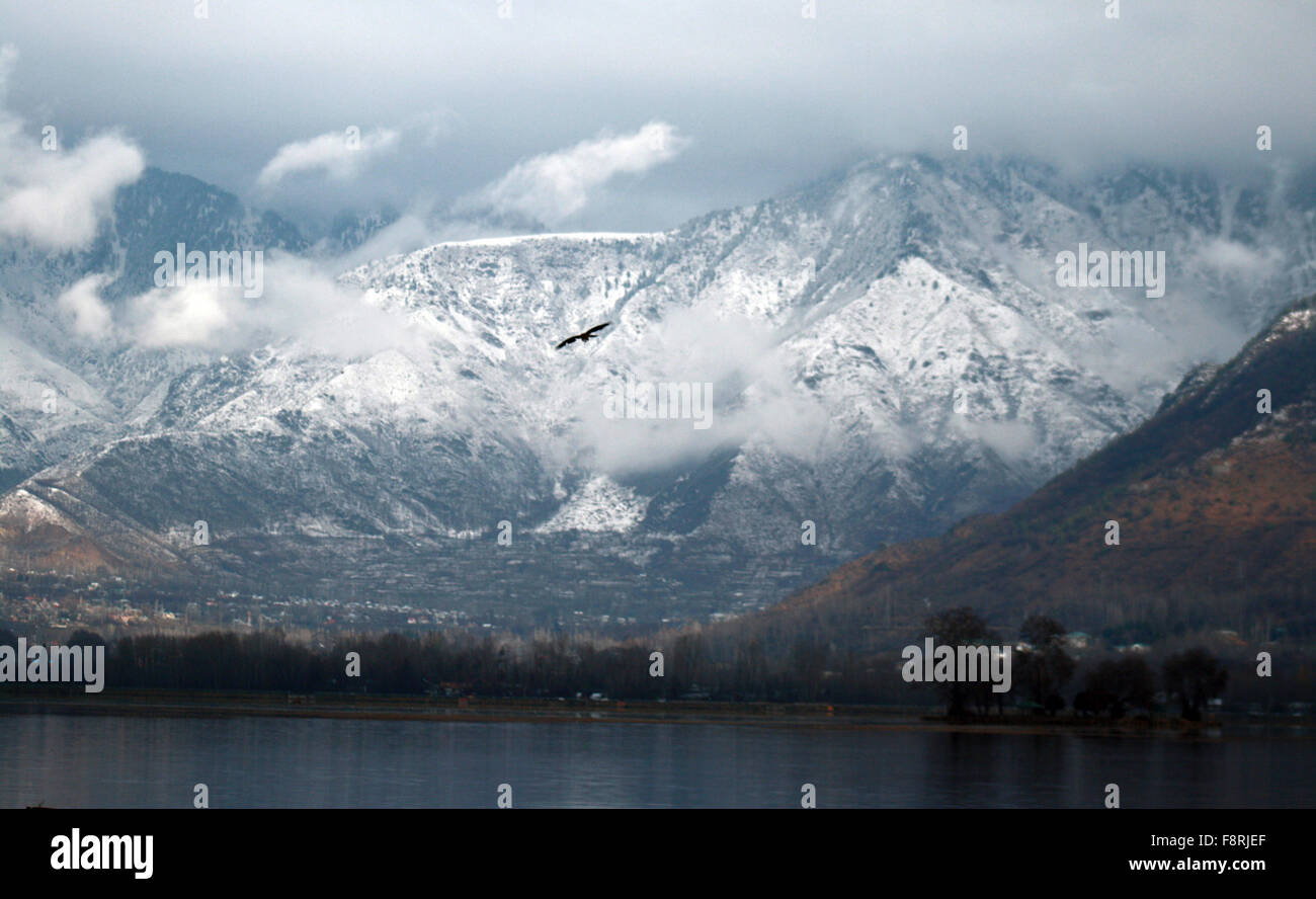 Indian Administered Kashmir:10 December .A view of the Dal Lake is seen ...