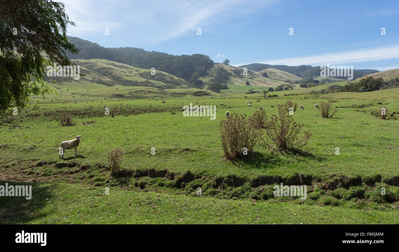 Victoria vale hi-res stock photography and images - Alamy