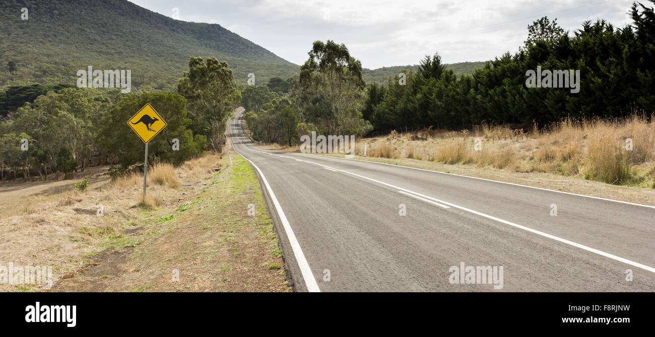 Road with Kangaroo sign, Dunkeld, Victoria, Australia Stock Photo - Alamy