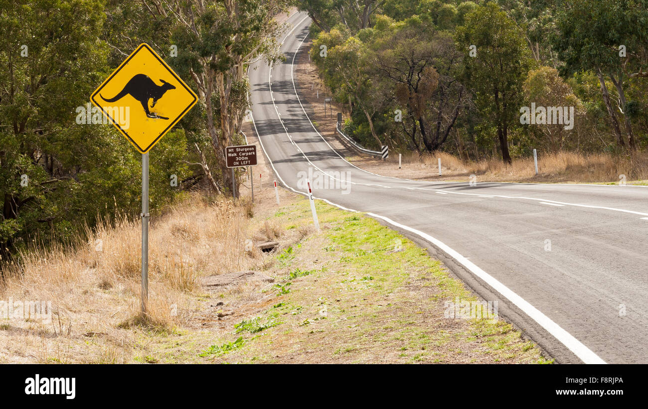 Road with Kangaroo sign, Dunkeld, Victoria, Australia Stock Photo - Alamy
