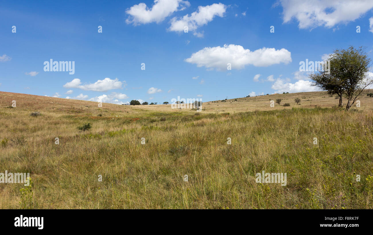 Landscape south africa hi-res stock photography and images - Alamy