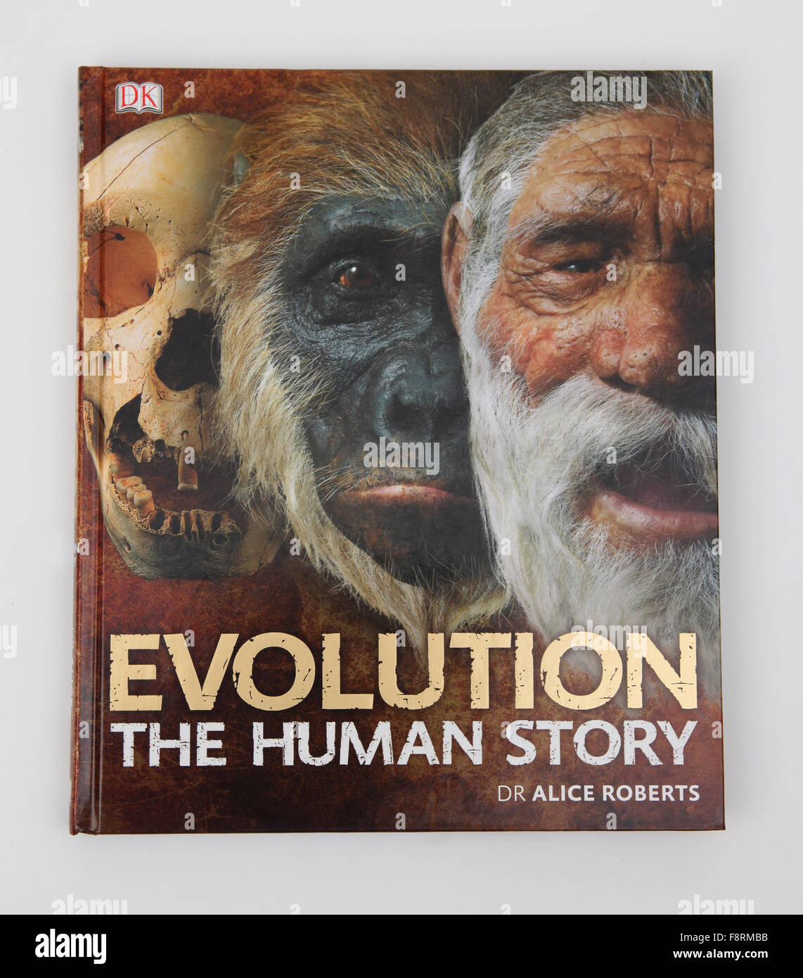 Alice roberts hi-res stock photography and images - Alamy