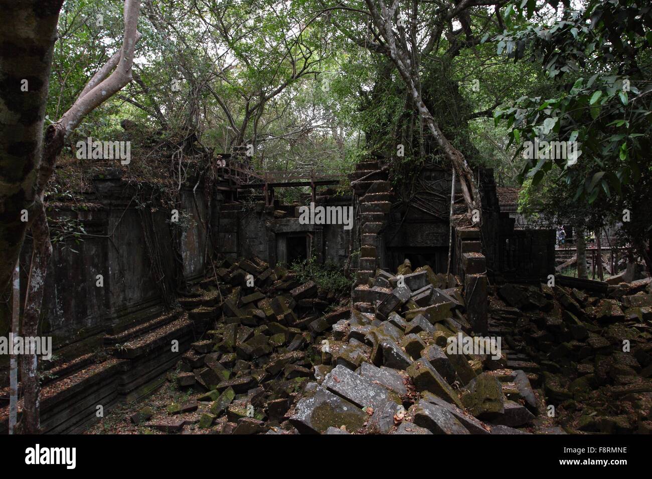 Ruins of Beng Mealea Temple, Angkor, Cambodia Stock Photo - Alamy