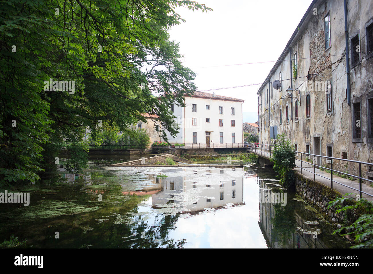 View of the Vipava river in Slovenia Stock Photo - Alamy